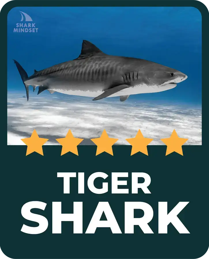 Home - Shark Mindset